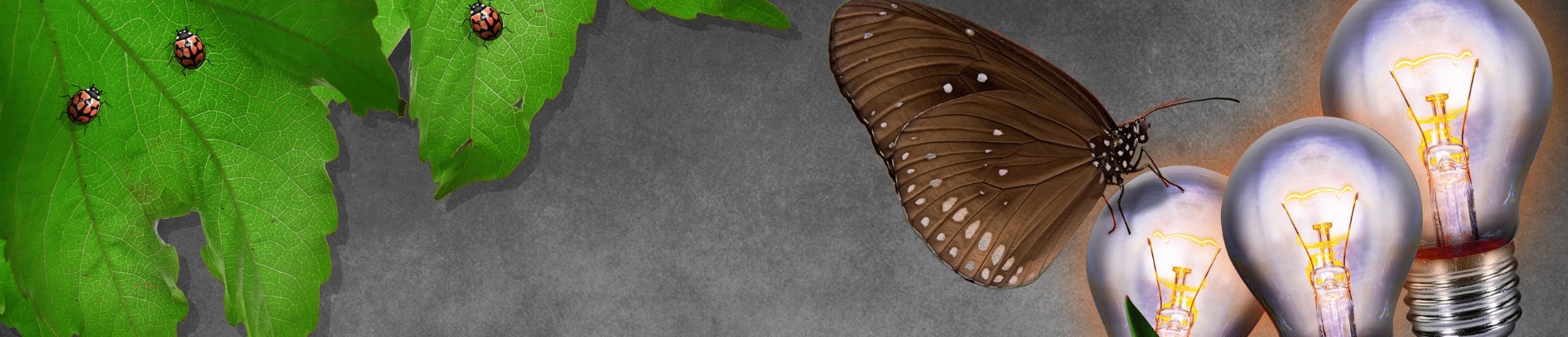 The W. Edwards Deming Institute